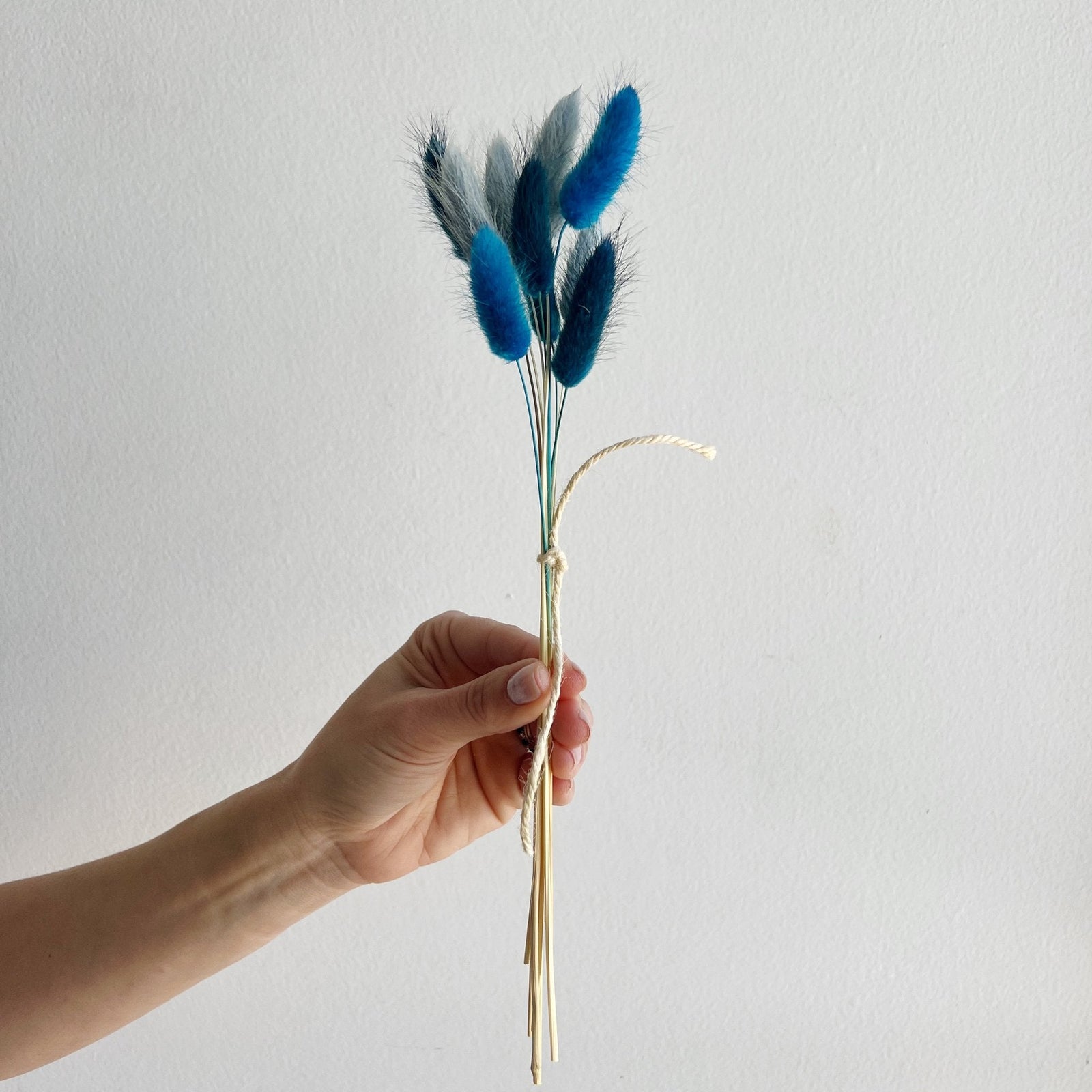 Bunny Tail Grass Dried Flower Bundle
