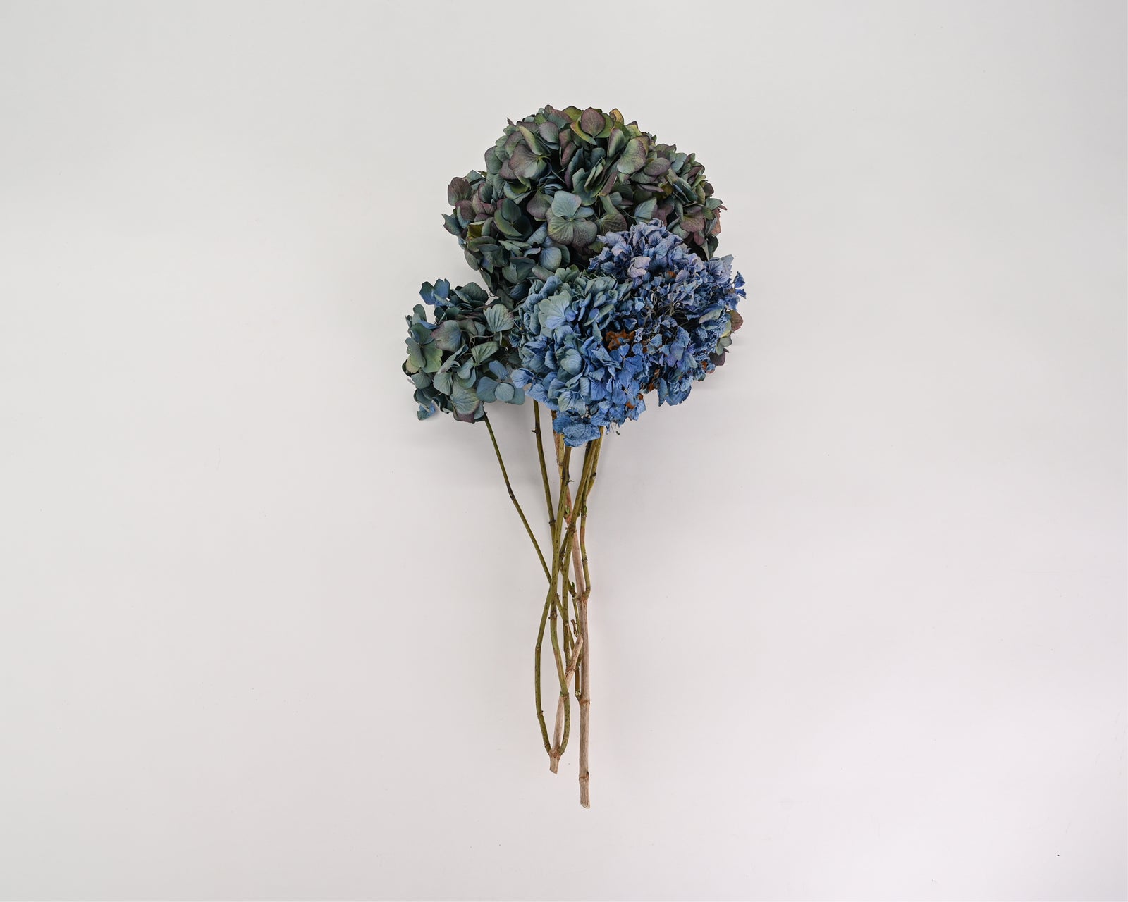 Dried Hydrangea Flower Bunch - Blue Color
