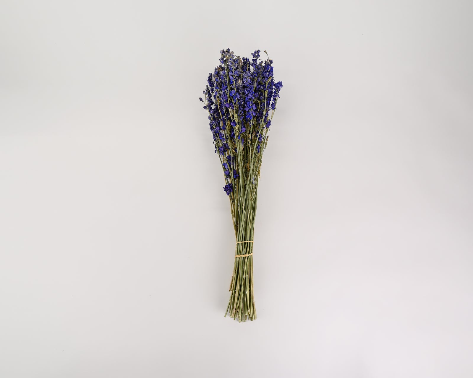 Dried Dark Blue Larkspur Flowers For Sale | Dried Delphinium | Dried ...