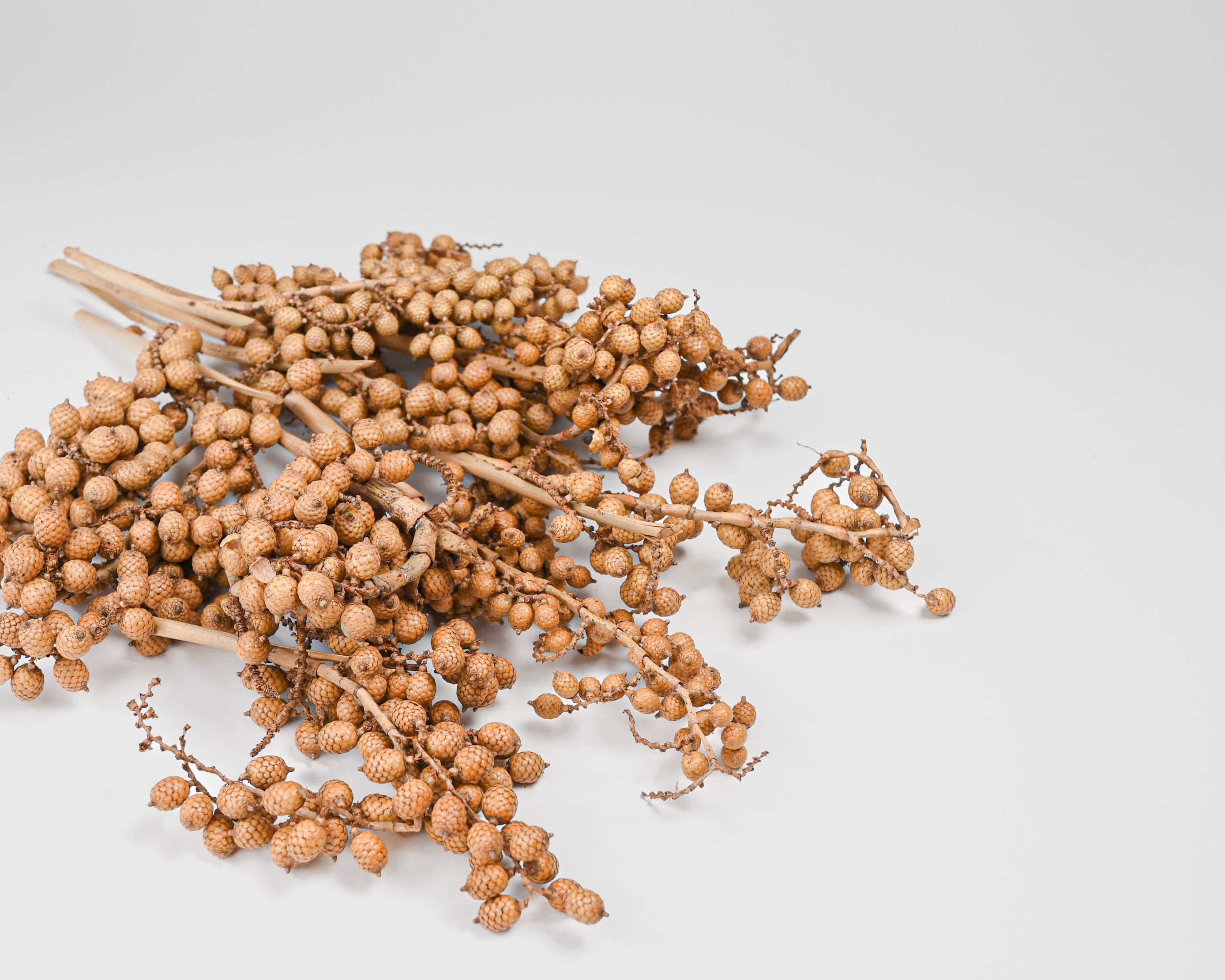 Dried Canella Berries - Decorative Bunch | 18 Bunches | Color Options