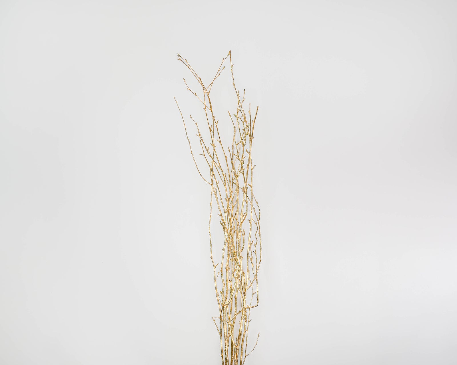 Gold Painted Birch Branches - Gold Birch Branches