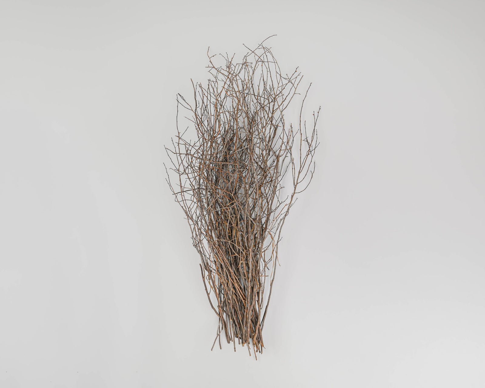 Sweet Huck Branches - Natural huckleberry